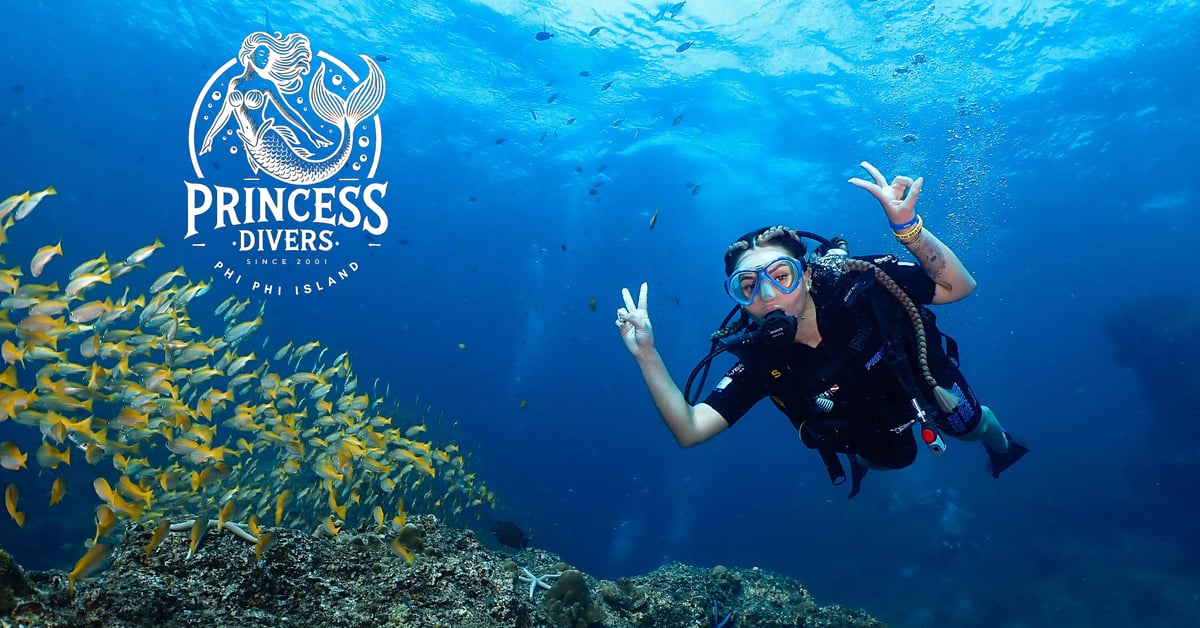 Learn to Scuba Dive in Phi Phi | Beginner Diving Courses | Princess Divers